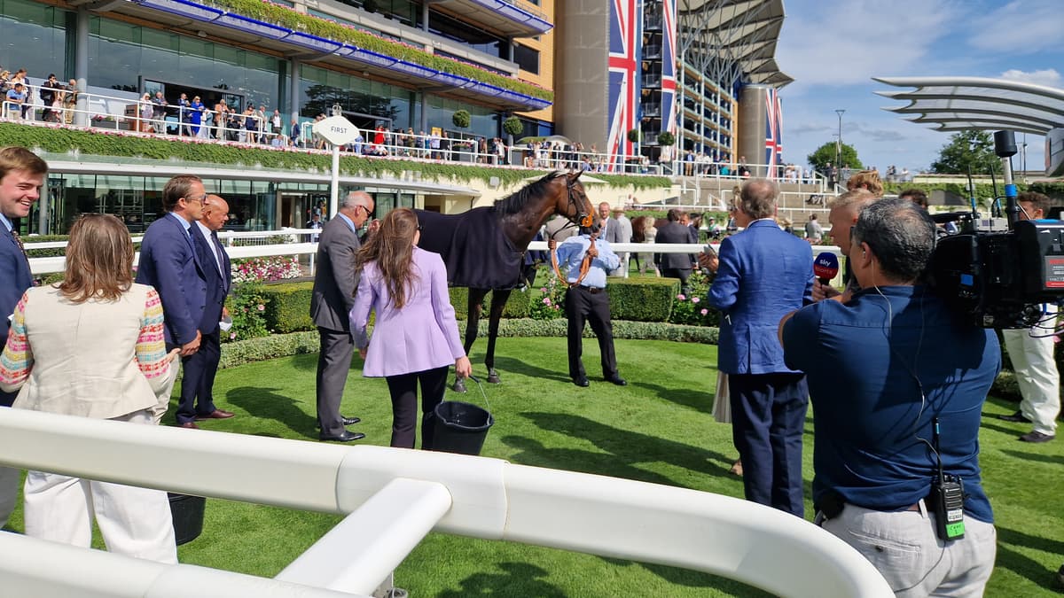 Jim Crowley and Trevor Whelan suffer suspected broken legs in York race ...
