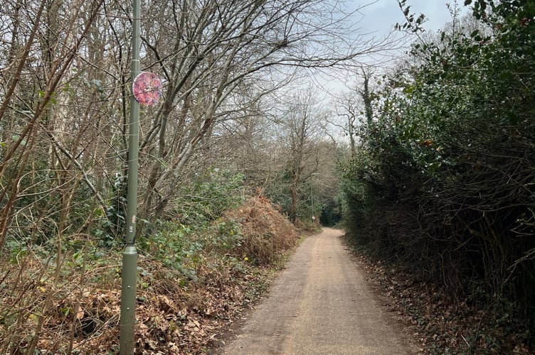 Horsell’s ‘Banksy Buttons’ make surprise Boxing Day comeback ...