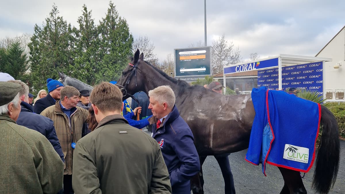 Peter Moore horse racing column: Skelton issues tribute to Langer Dan ...