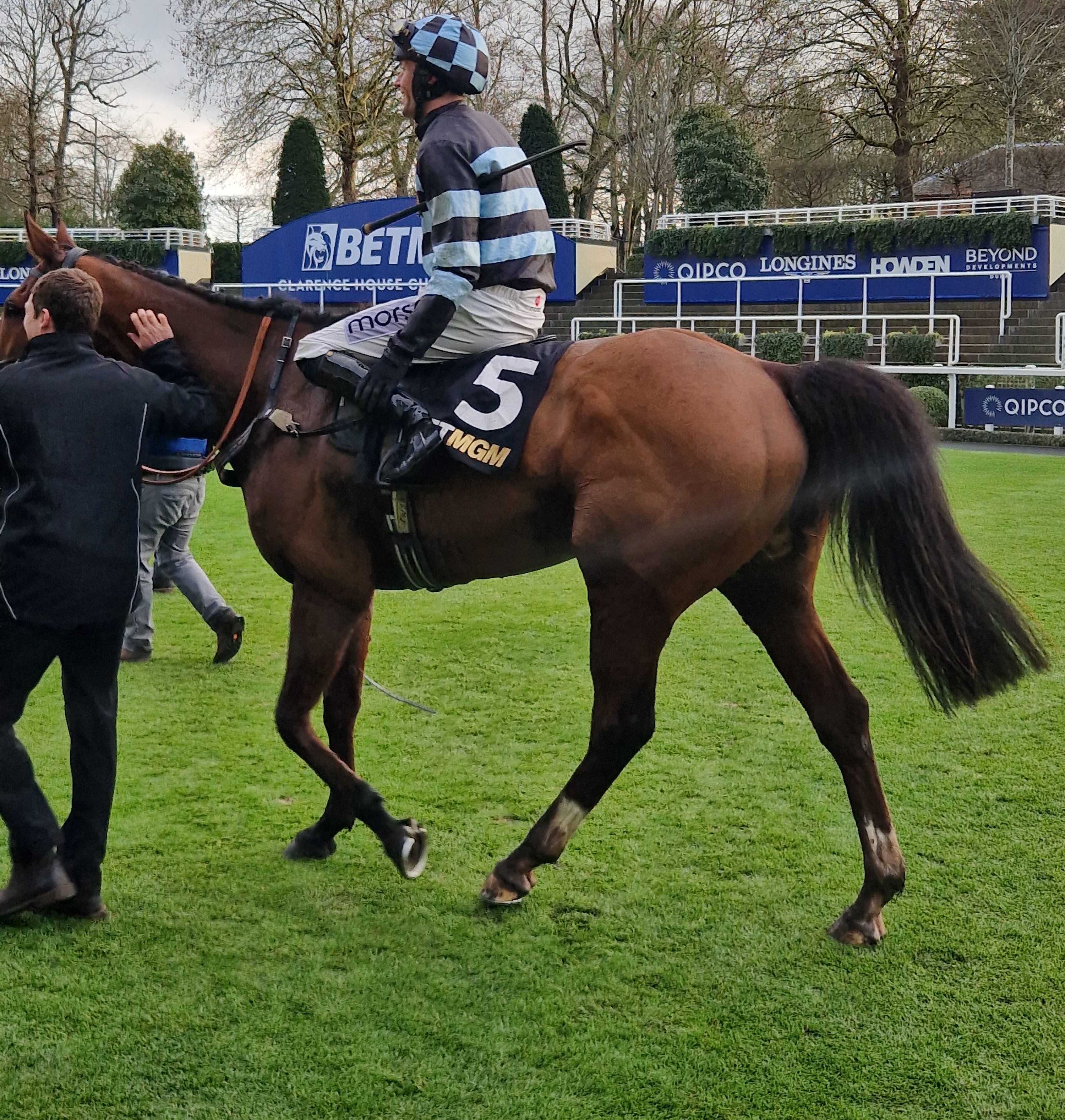 Peter Moore horse racing column: Harry Cobden appointed JP McManus ...