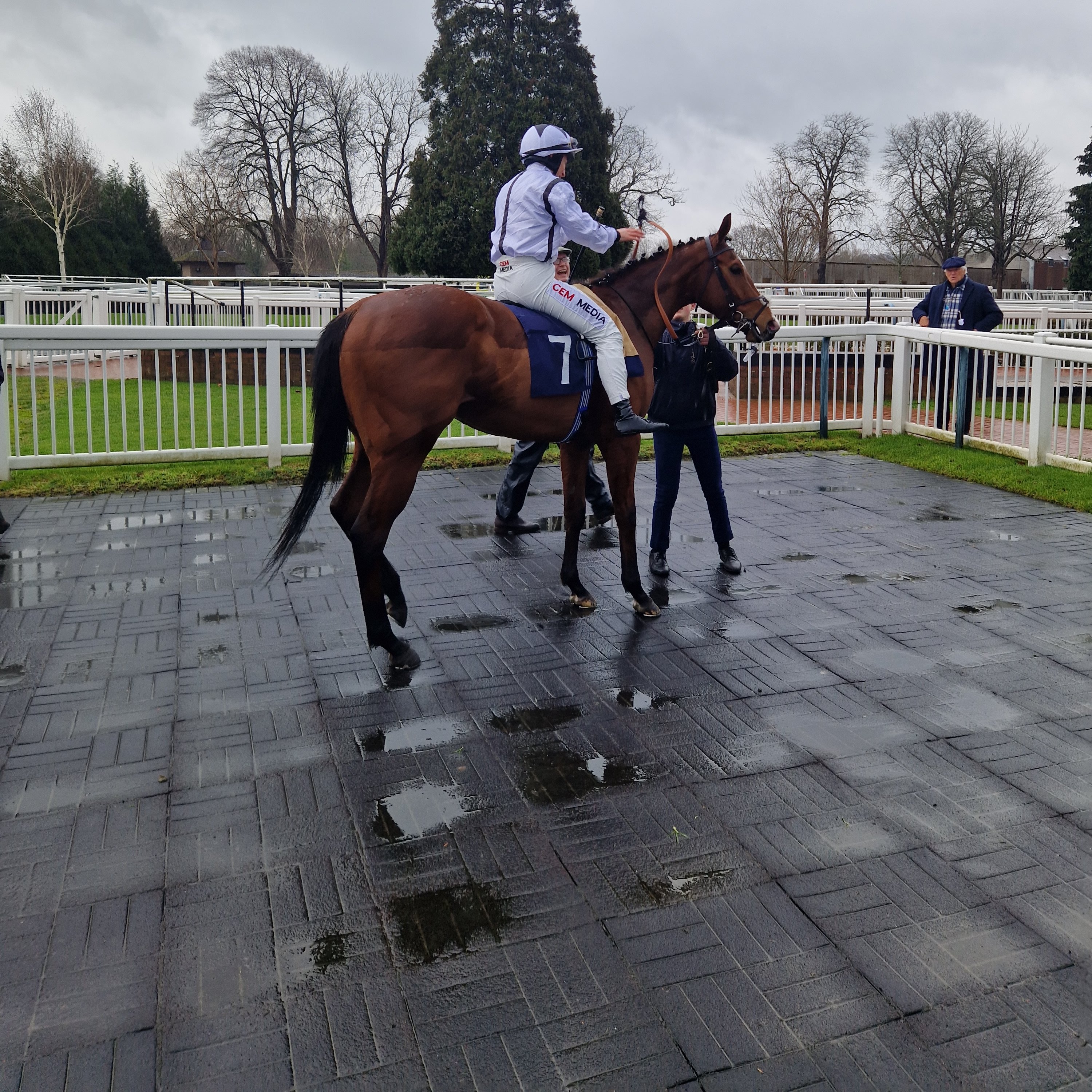 Peter Moore horse racing column: Sir Gino suffers fractured pelvis at ...