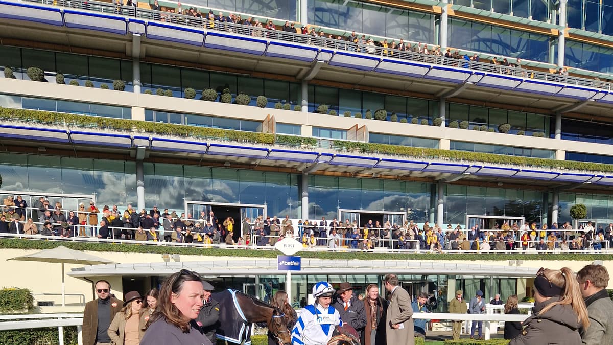 Peter Moore horse racing column: Constitution Hill likely to miss out ...